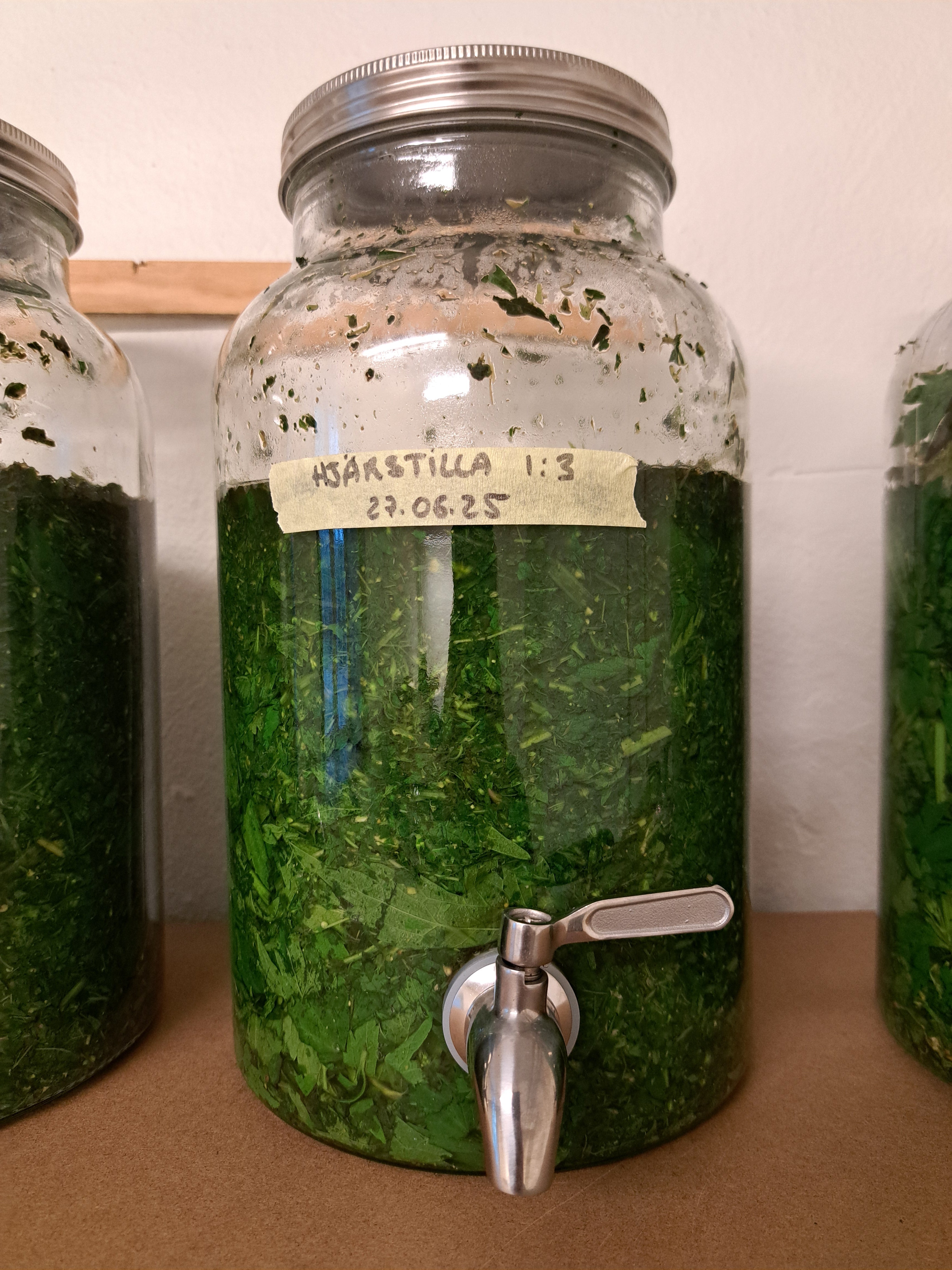 Alcohol & Glycerin Extracts: tinctures – Nordiska Örter